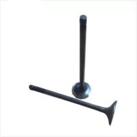 China TEM MD339752 MD339754 Mitsubishi 4G18 Intake Exhaust Valve 16v for sale