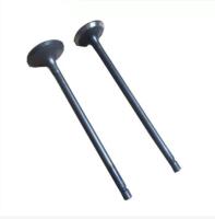 China TEM MD339752 MD339754 Mitsubishi 4G18 Intake Exhaust Valve 16v for sale