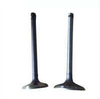 China TEM ME031937 ME031939 Mitsubishi Fuso Engine Intake Exhaust Valve For 6D15T for sale