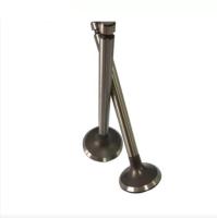 China TEM Mitsubishi 6D22 6D24 Intake Valve Exhaust Valve ME051063 ME051064 For SK400 for sale