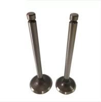 China TEM Mitsubishi 6D22 6D24 Intake Valve Exhaust Valve ME051063 ME051064 For SK400 for sale