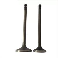 China TEM Mitsubishi S4E Intake Valve Exhaust Valve 34404-00100 30604-01100 for sale
