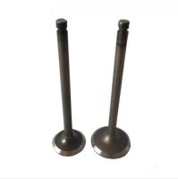 China TEM Mitsubishi S4E Intake Valve Exhaust Valve 34404-00100 30604-01100 for sale