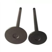 China TEM Mitsubishi S4E Intake Valve Exhaust Valve 34404-00100 30604-01100 for sale