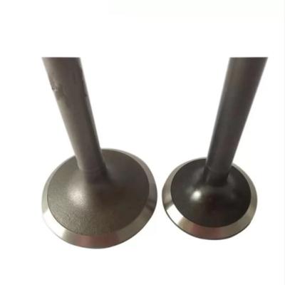 China TEM Mitsubishi S4E Intake Valve Exhaust Valve 34404-00100 30604-01100 for sale