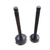 China TEM Toyota 2C Diesel Engine Valve 13711-64010 Gasoline Intake And Exhaust Valve for sale