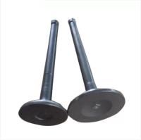 China TEM Toyota 2C Diesel Engine Valve 13711-64010 Gasoline Intake And Exhaust Valve for sale