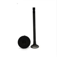 China TEM 13711-10020 13712-10010 Toyota 2E Engine Exhaust Valve Intake Valve Spare Parts for sale