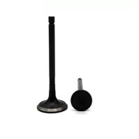 China TEM 13711-10020 13712-10010 Toyota 2E Engine Exhaust Valve Intake Valve Spare Parts for sale