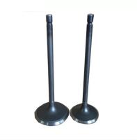 China TEM 1TR 2TR Intake Valve Exhaust Valve Engine Valve 13715-75100 13711-75100 for sale