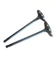 China TEM 1TR 2TR Intake Valve Exhaust Valve Engine Valve 13715-75100 13711-75100 for sale