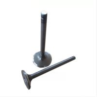 China TEM Toyota 14B 3B Diesel Engine Valve 13711-58020 13715-58040 for sale