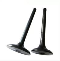 China TEM Toyota 1HZ Intake Engine Valve 13711-17010 Exhaust Valve 17315-17010 1HZ Engine Parts for sale
