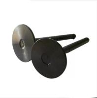 China TEM Toyota 1HZ Intake Engine Valve 13711-17010 Exhaust Valve 17315-17010 1HZ Engine Parts for sale