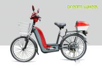 China 36V 350W Pedal Assist Electric Bike 24 Inch Wheel V Brake Rear Brushless Motor for sale