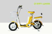 China 250W Lightweight Pedal Assist Electric Bike 16