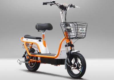 China 350W Pedal Assist And Throttle Ebike 48V 12Ah Lead Acid Battery for sale