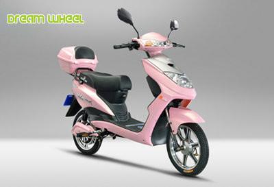 China 32km/H E Bikes With Both Pedal Assist And Throttle 48V 12Ah Removable Battery for sale