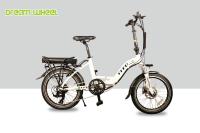 China TUV EN15194 Battery Powered Folding Bike 36V 10Ah Li Ion Battery for sale