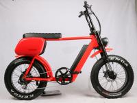 China 48V 750W New design 2022 Electric Fat Tire Bike , Electric Fat Tire Bicycle EN15194 for sale