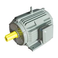 China IP55 High Efficient Electric Motor IE3 Induction Motor Asynchronous for sale