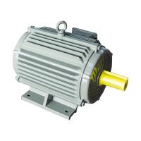 China IP55 High Efficient Electric Motor IE3 Induction Motor Asynchronous for sale
