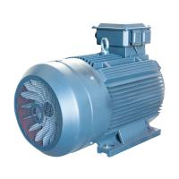 China IP55 3 Phase Variable Speed AC Motor Induction Iron Cast 100% Output Power for sale