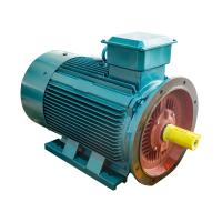 China 400v Variable Speed Drive Motors YE3 Squirrel Cage Asynchronous Motor for sale