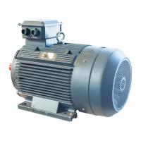 China AC Low Voltage Squirrel Cage Induction Motor Three Phase 400v for sale