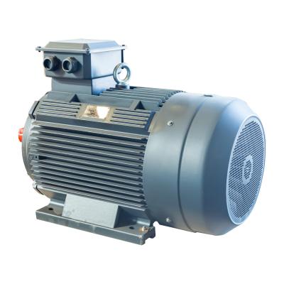 China Electric Squirrel Cage Induction Motor High Efficiency Flange Mounting Motor B3 for sale
