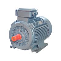 China AC Low Voltage Squirrel Cage Induction Motor Three Phase 400v for sale