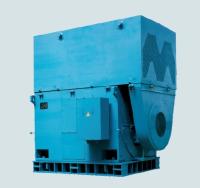 China 60Hz V1 Mounting Electric Motor 10000V Motor High Votage IP54 for sale