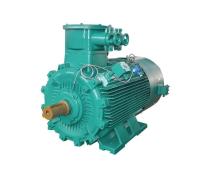 China YBX3 Explosion Proof Motor IC411 / IC416 AC Induction Motor 3 Phase for sale
