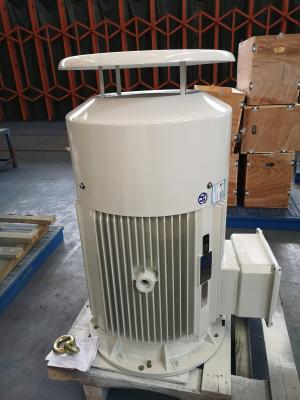 China YE2 Low Voltage Induction Motor 11kw 18kw AC Motor 3 Phase Electric for sale