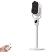 China English Operating Language 2-in-1 Cold Warm Air Ceramic PTC Heater with Remote Control for sale