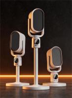 China Standing Desk Heater With Shaking Head And Remote Control For Winter Summer Air Flow for sale