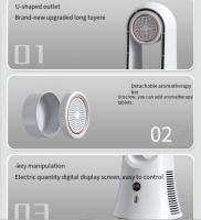 China English Operating Language USB Powered Desktop Fan Large Wind Aromatherapy Leafless Fan for sale