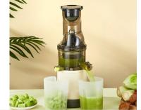 China Electric Blender Fruit Extractor Machine Red 500W Cold Press Professional Slow Juicer for sale