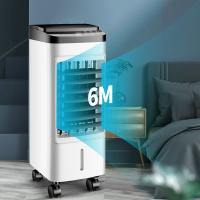 China Cooling Only 5L Air Conditioning Fan with Remote Control and Timed Cooling Capability for sale