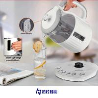 China Stylish Electric Glass Kettle for Household Style Electric Kettle Inner Coating Glass for sale