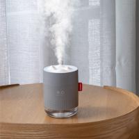 China Portable H2O Humidifier Cool-Mist Impeller Humidifier with ABS PP Silica Gel Material for sale
