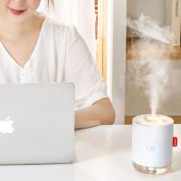 China Portable H2O Humidifier Cool-Mist Impeller Humidifier with ABS PP Silica Gel Material for sale