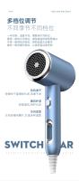 China Hotel Salon Household High Speed Hair Dryer Air Styler Hot Air Brush for Professional for sale