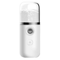 China Portable Pocket Mist Steamer USB Rechargeable Nano Facial Mister Mini Face Sprayer for sale