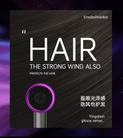 China Blue Light Super Hairdryer Ionic Professional Salon Blow Dryer Function Drying Hair for sale