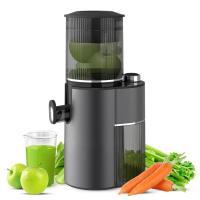 China Original Fruit Vegetable Juice Cold Press Slow Juicer Machine with NO App-Controlled for sale