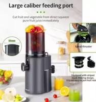 China Commercial Cold Press Vertical Big Mouth Juicers Extractors Machine Juice Extractor Slow Juicer for sale