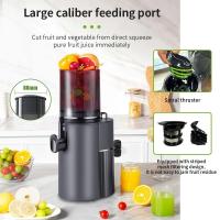 China Big Mouth Cold Press Commercial Fruit Juicer Multifunctional Electric Juicer 350W for sale