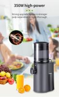 China Big Mouth Cold Press Commercial Fruit Juicer Multifunctional Electric Juicer 350W for sale