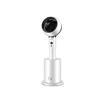 China Mechanical Control Water Cooling Fan App-Controlled Electric Cooling Cool Design for sale